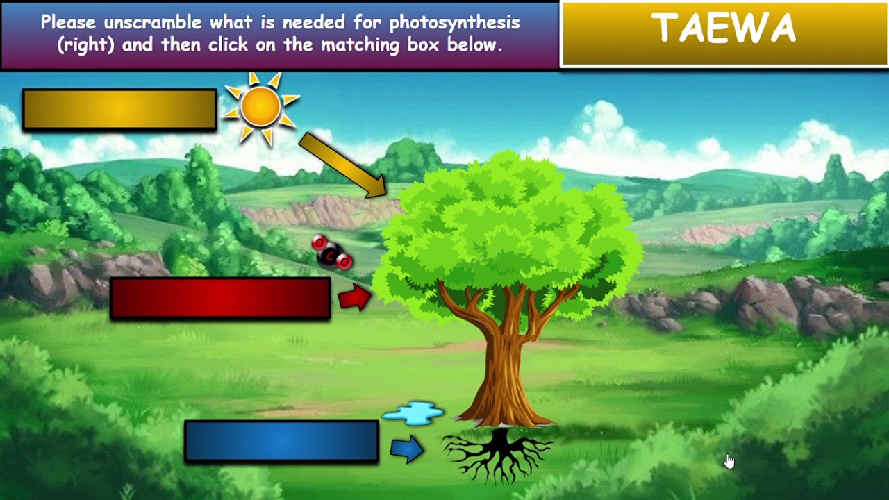 Plant Photosynthesis: Interactive Google Slides + Powerpoint - YouTube