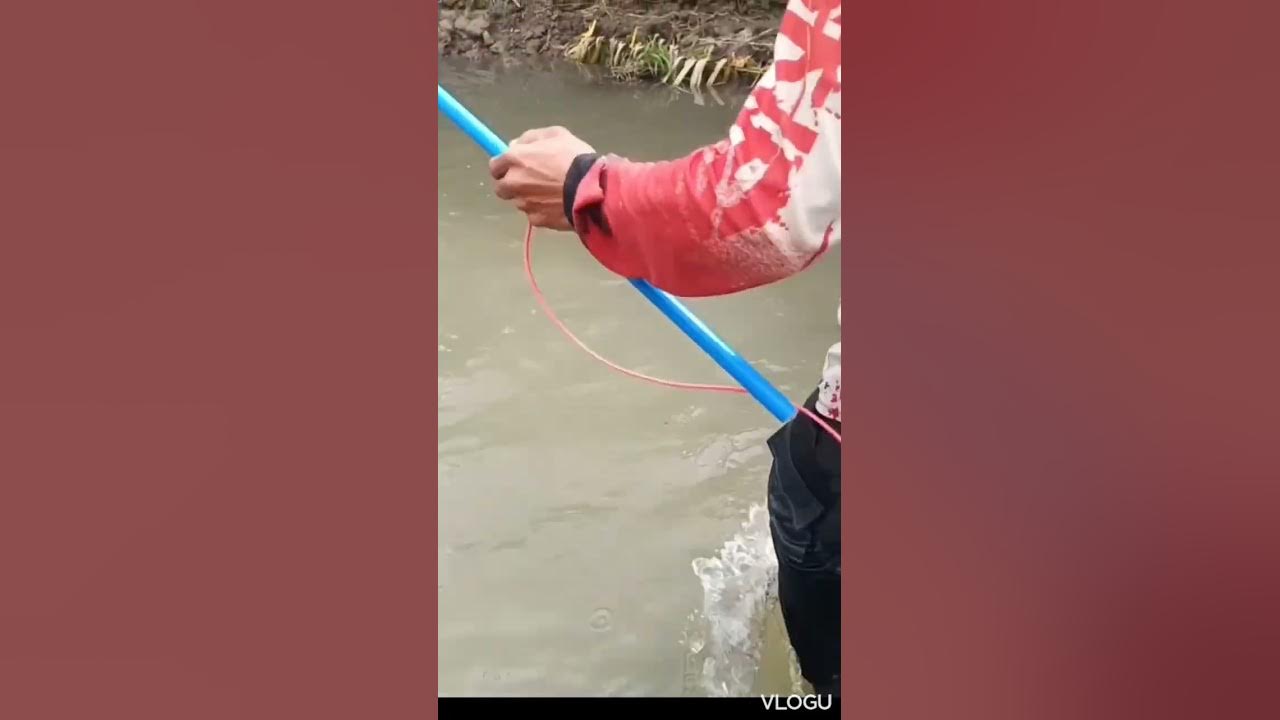 Part 1, Mabilisan na panghuli ng tilapya 😲🐟🐟dahil sa fishing gear na gawa ko.. - YouTube