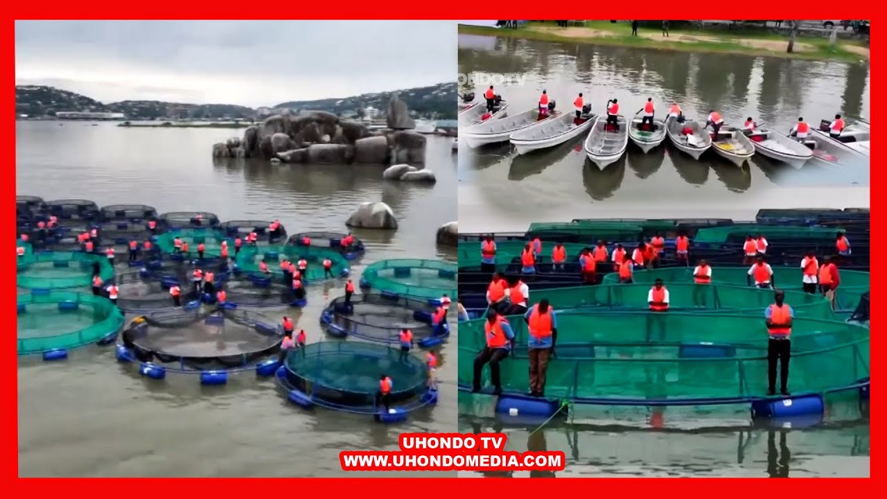 MSAFARA WA RAIS SAMIA NA MABOTI ULIVYOSHANGAZA MWANZA - YouTube