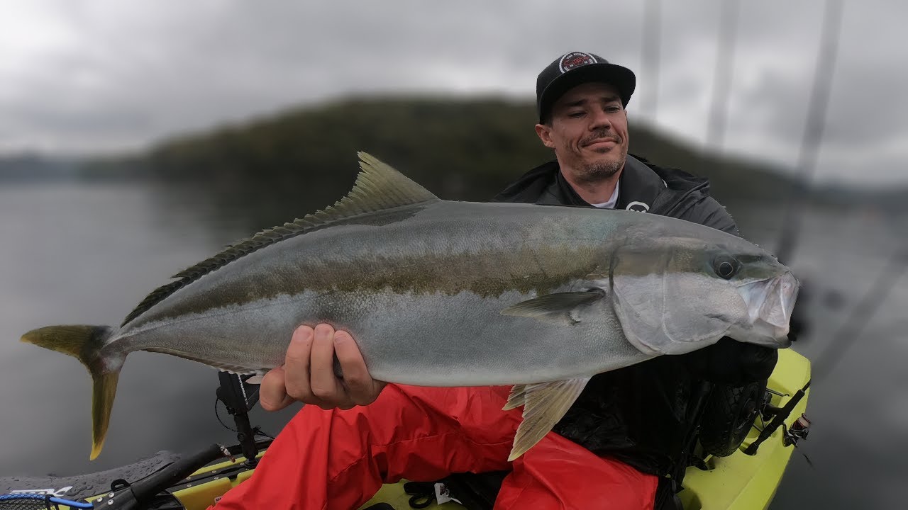 Fishing VLOG #2: Jigging Big Kingfish and Jewfish in Middle Harbour ...