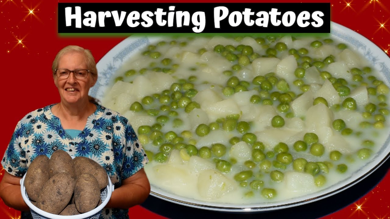 A Childhood Favorite Dish, Made with Fresh Garden Produce ...