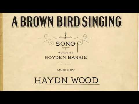 A Brown Bird Singing - YouTube