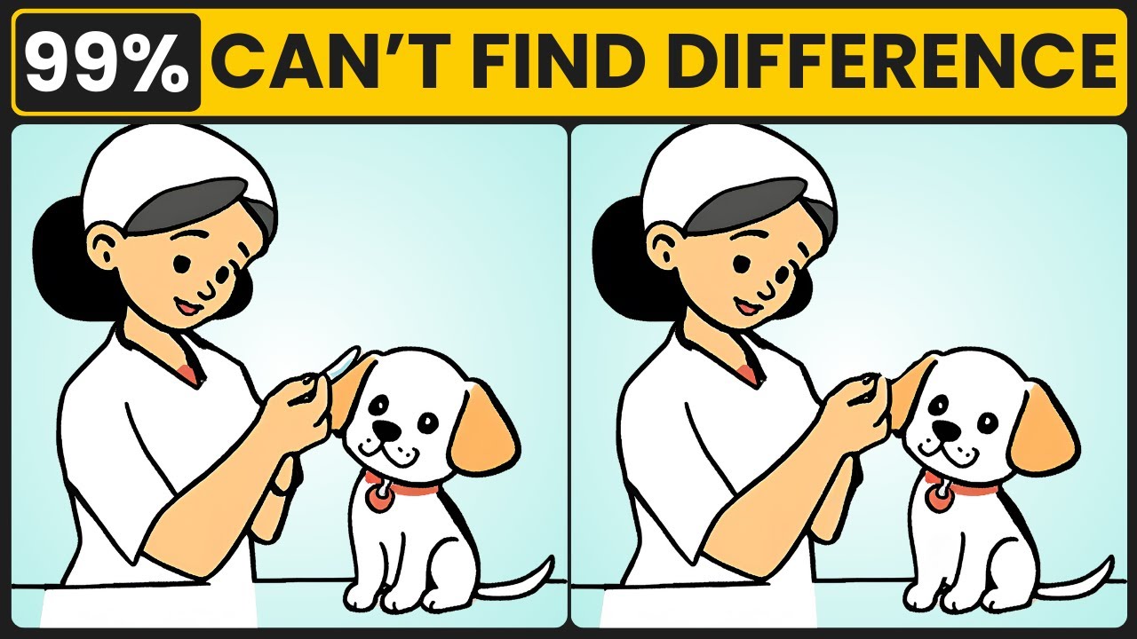 Find the differences | Find differences if you can [Spot the differences # 63] - YouTube