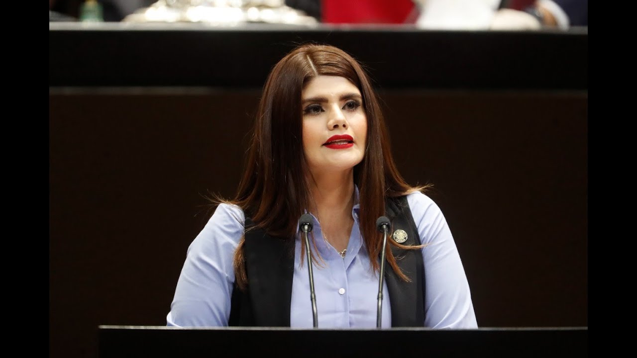 Dip. María del Refugio Camarena Jáuregui (PRI) / Presentación de ...