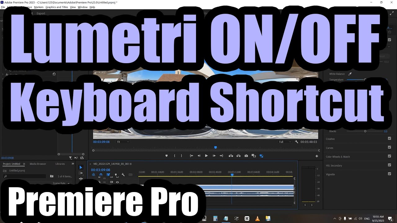 How to Enable/Disable Effects via Keyboard Shortcut (Premiere Pro ...