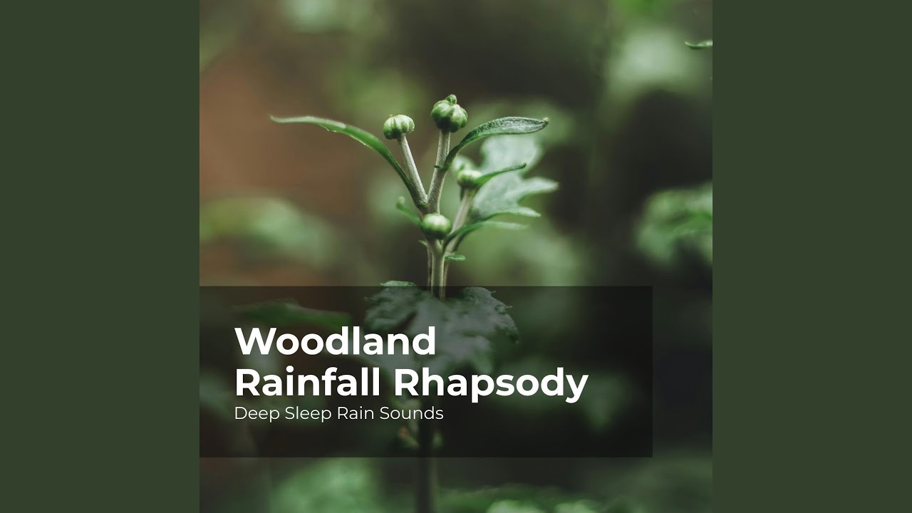 Teeming Rain Tonight - YouTube