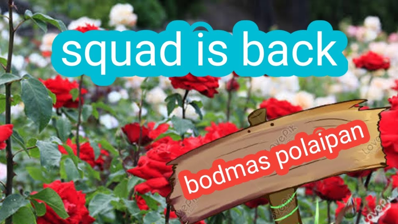 squad is back - YouTube