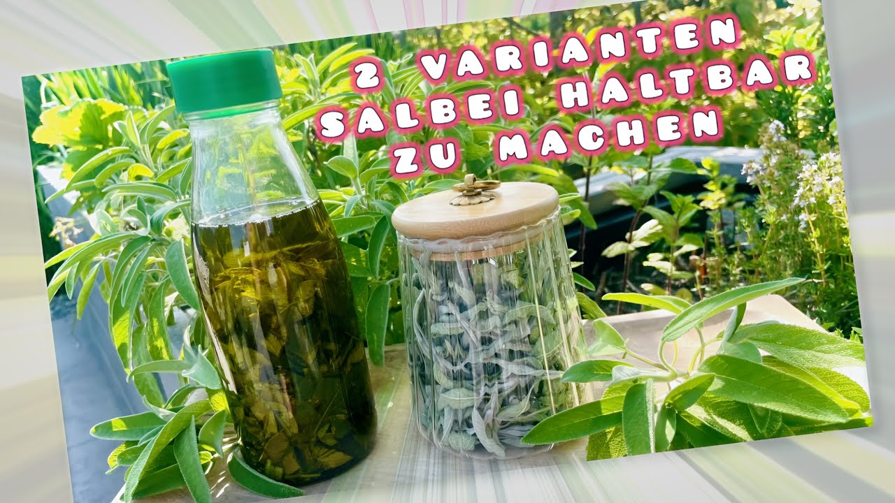 Salbei Haltbar Machen Rezepte