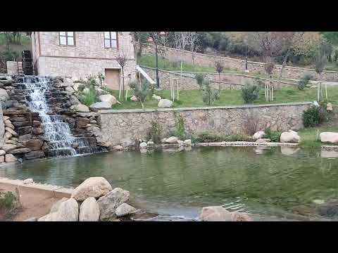 En güzel terapi su sesi😍 #viral #shorts #keşfet #keşfetbeniöneçıkar #keşfetteyiz #video #değirmen  