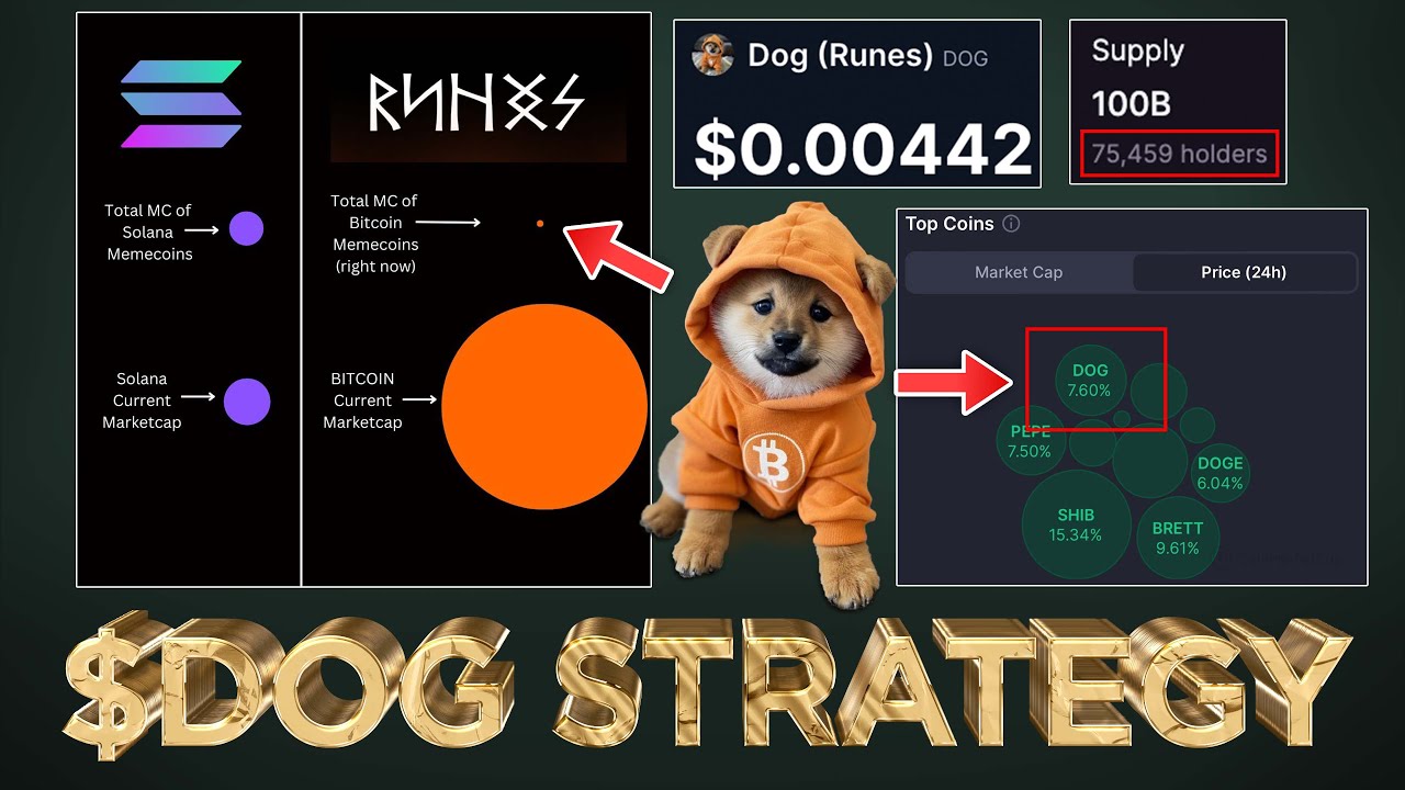 $DOG Core Fundamentals Unphased 🐕 🪖 (MUST WATCH) - YouTube