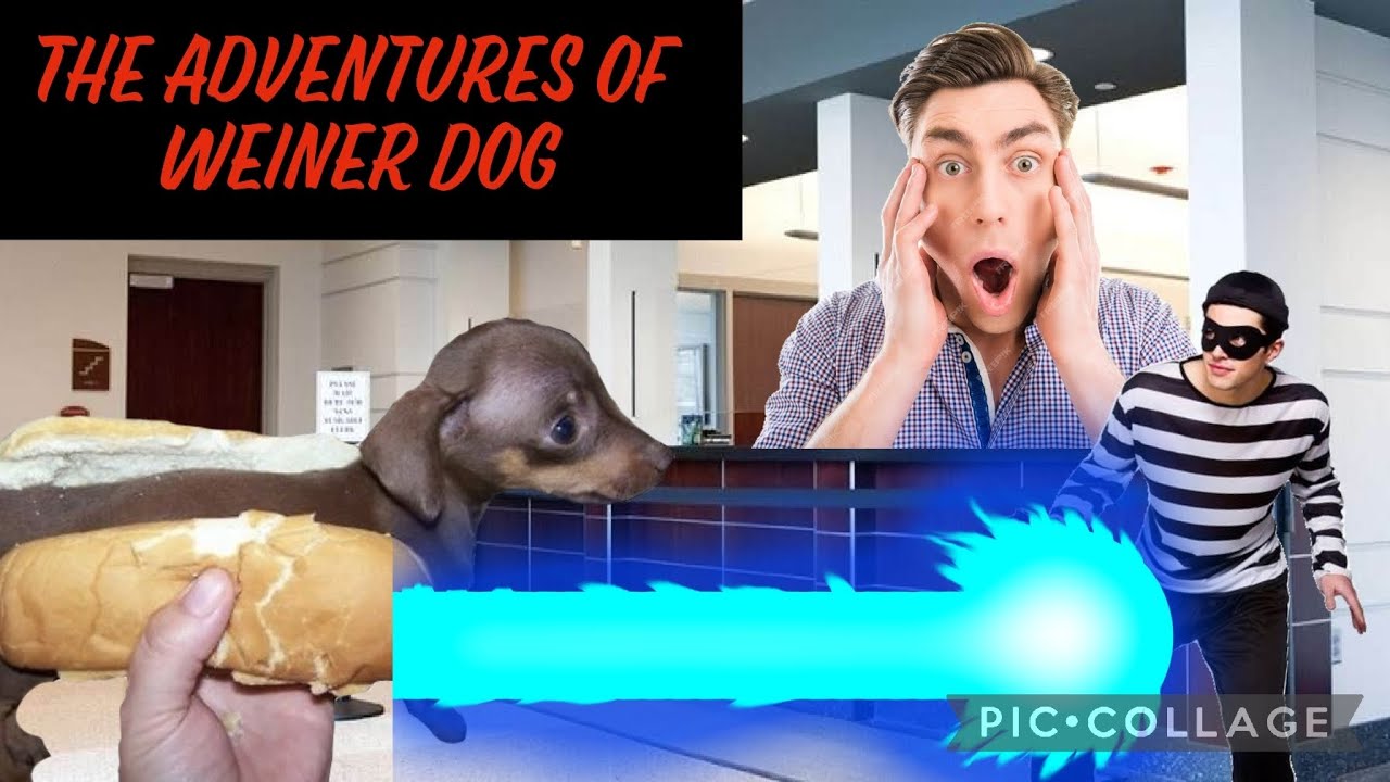 The Adventures of Weiner Dog! - YouTube