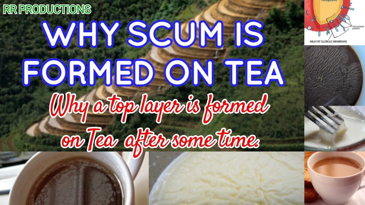 WHY SCUM IS FORMED ON TEA |Why a layer is formed on Tea after some time ...