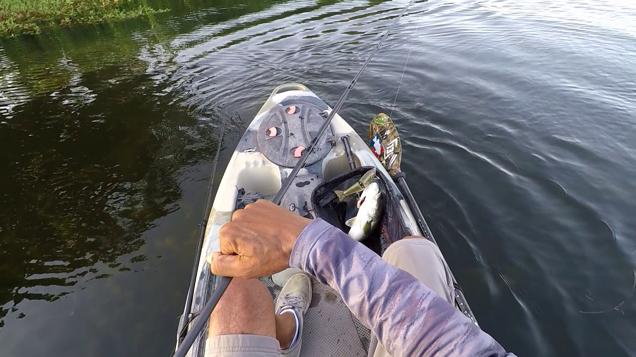 Swimbait fish with a senko in the gullet - YouTube