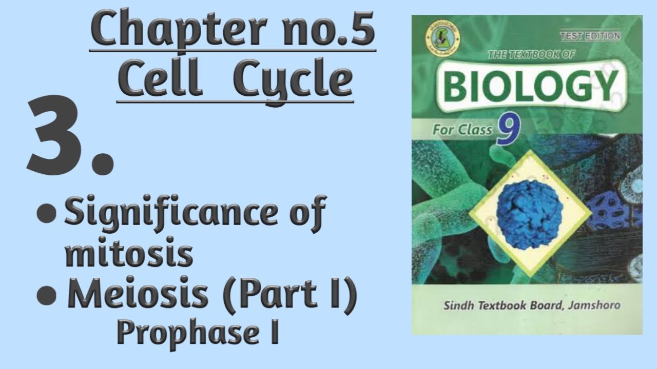 Chapter no. 5 Class 9 biology - cell cycle - Meiosis - Sindh textbook ...