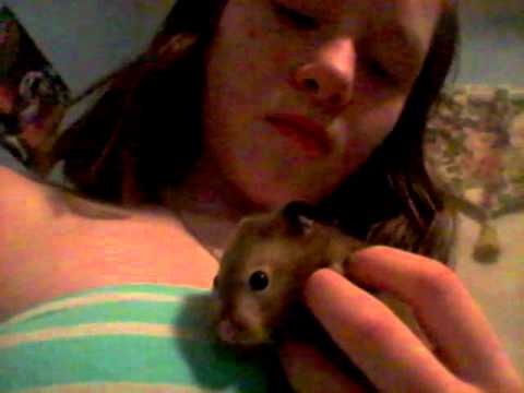 My YouTube Crush... Singer Crush... Hamster... And Fight With Brother.