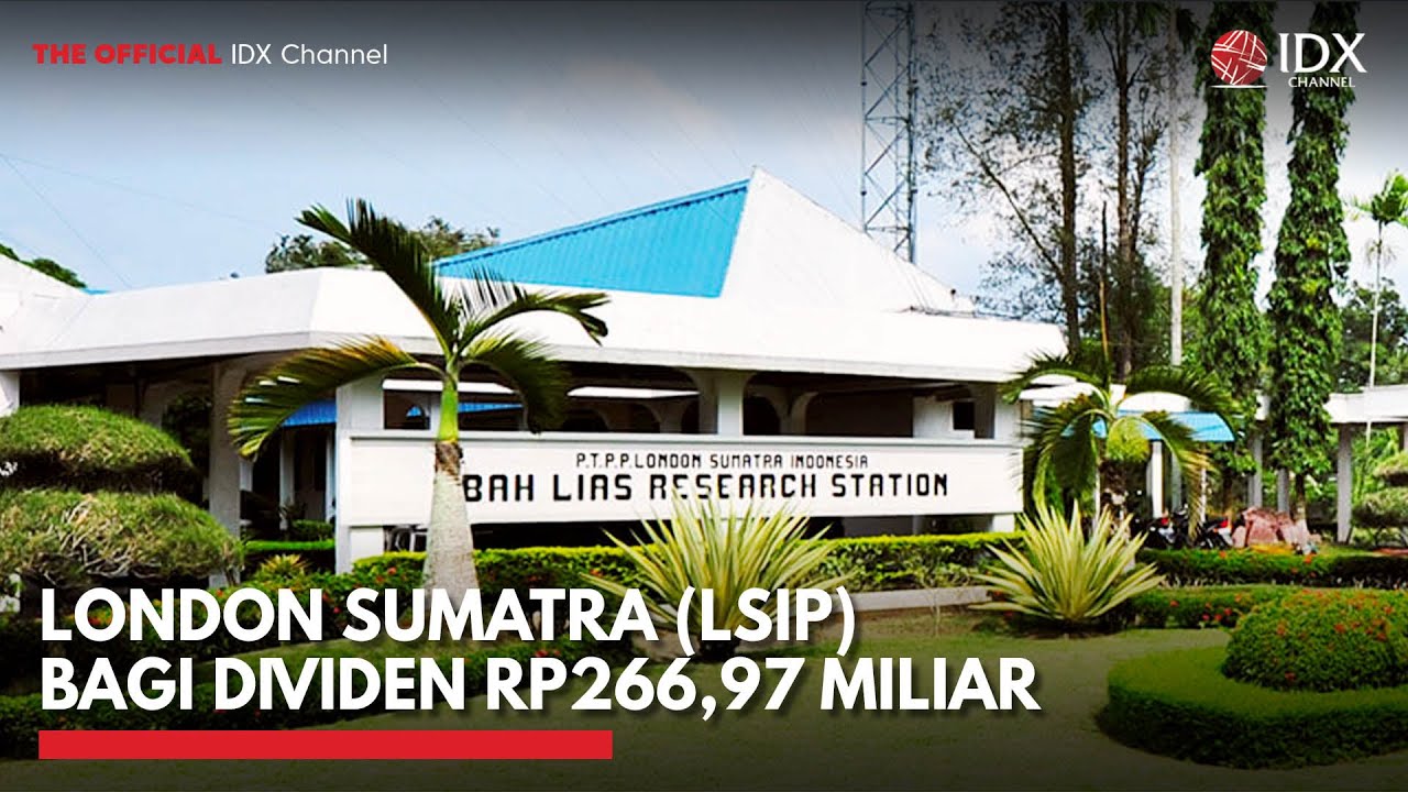 London Sumatra (LSIP) bagi Dividen Rp266,97 Miliar | IDX CHANNEL - YouTube