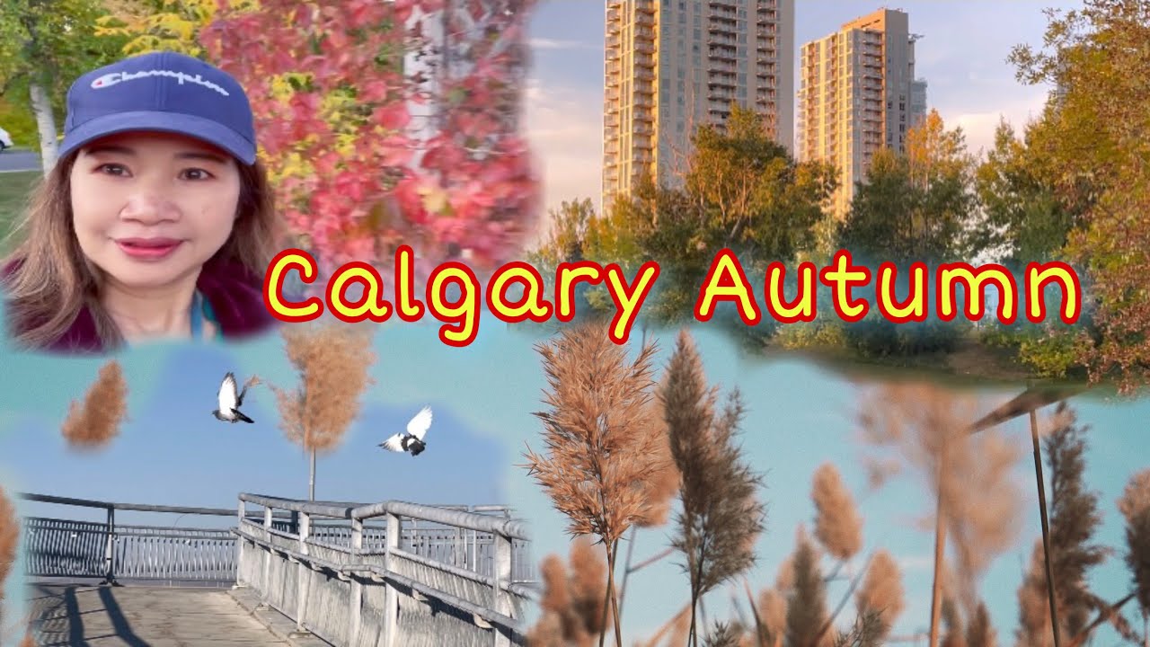 Calgary Autumn ปีนี้หิมะมาไว ยังไม่ทันได้อวดความงามสักเท่าไหร่ก็จะจากไป ...