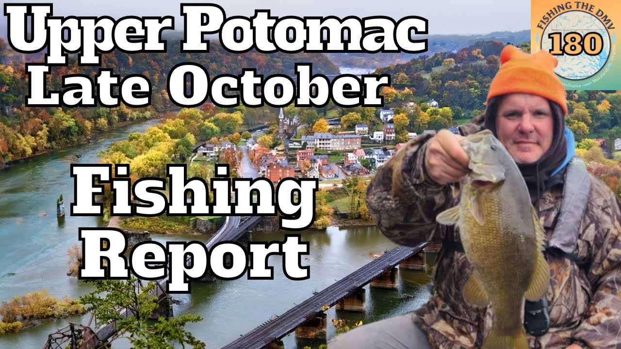Upper Potomac River Fall Fishing with Shallow Water Fishing Adventures ...