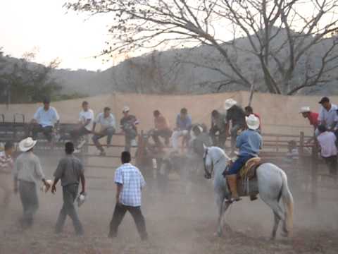 jaripeyon de semana santa el jileño, jicote nayarit - YouTube