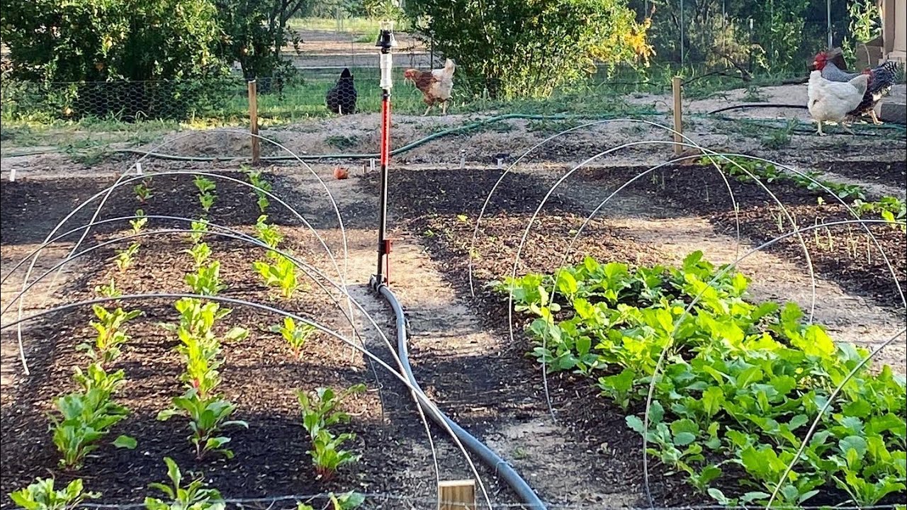 “From Empty Lot to Garden Plot” How We Created the First Garden Beds on ...