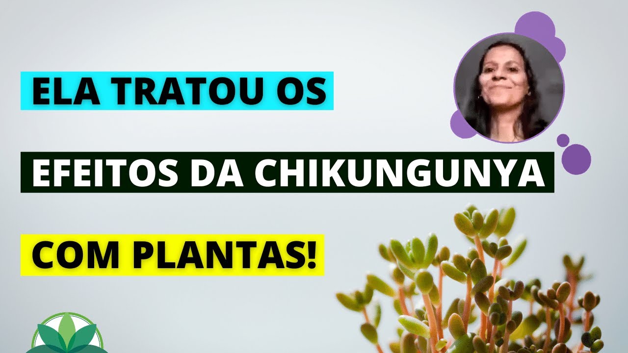 Ela tratou os efeitos da chikungunya com plantas! - YouTube