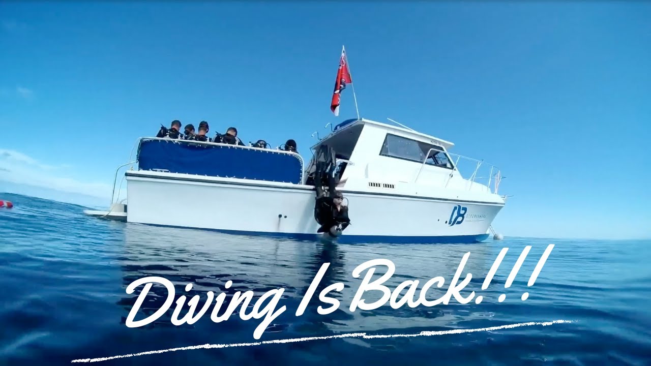 Scuba Diving Is Back In Bermuda - Ep 7 | Blue Horizon Diving - YouTube