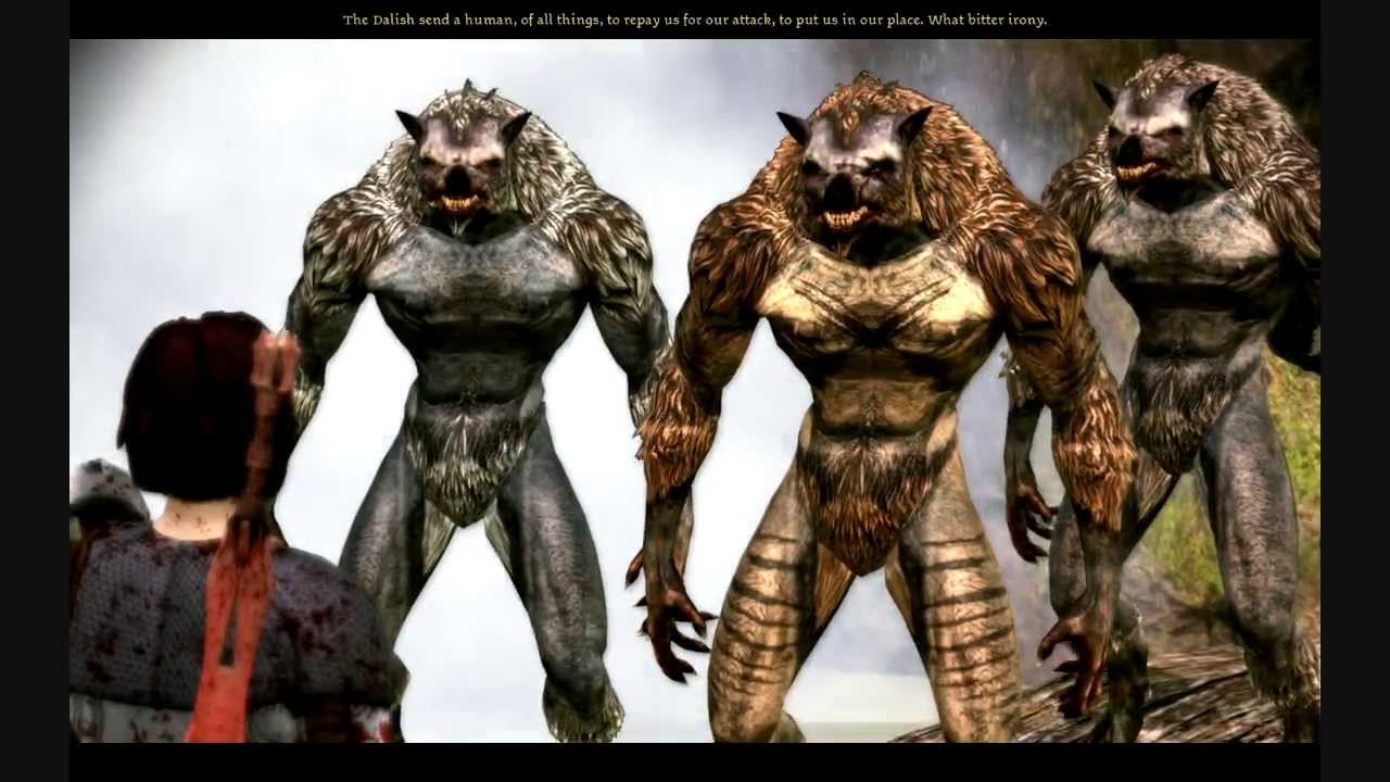 Let's Play Dragon Age Origins - Part 128: HRRR SWIFTRUNNER - YouTube