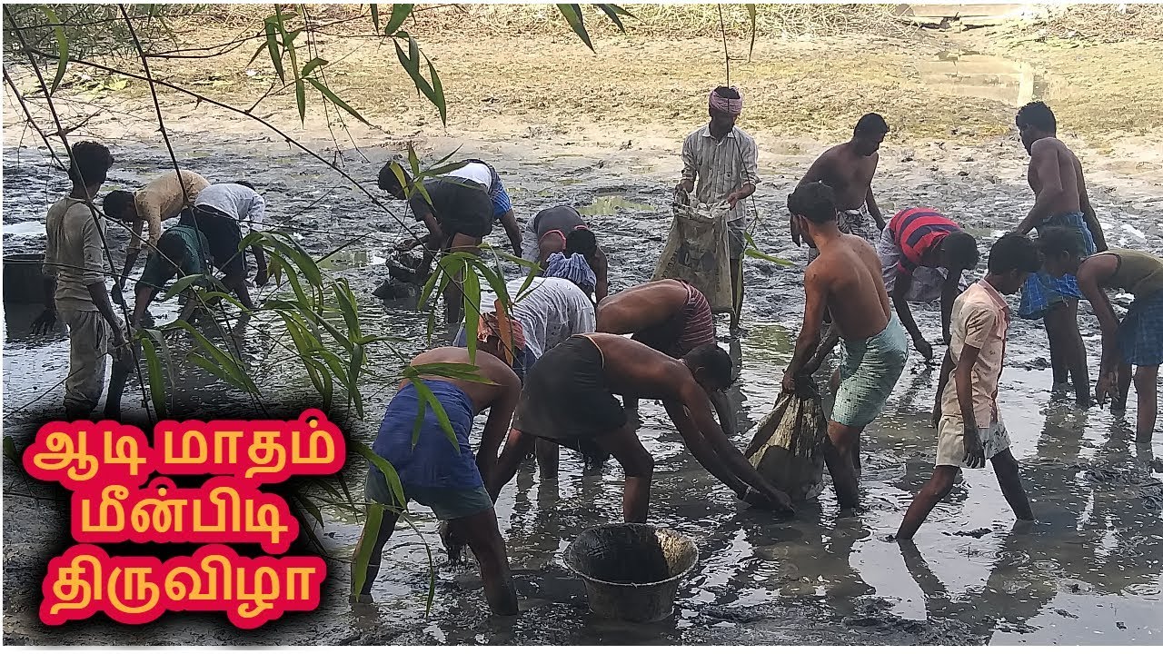 வருடத்திற்கு ஒருமுறை நடக்கும் மீன்பிடித்தல் part - 1\ Ulavan Food ...