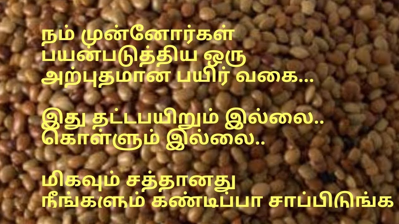 நம் முன்னோர்கள் பயன்படுத்திய ஒரு அற்புதமான பயிறு/Nari payaru masiyal ...