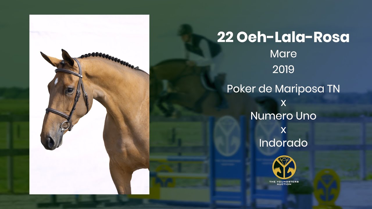 22 Oeh-Lala-Rosa (Poker de Mariposa TN x Numero Uno x Indorado) mare ...