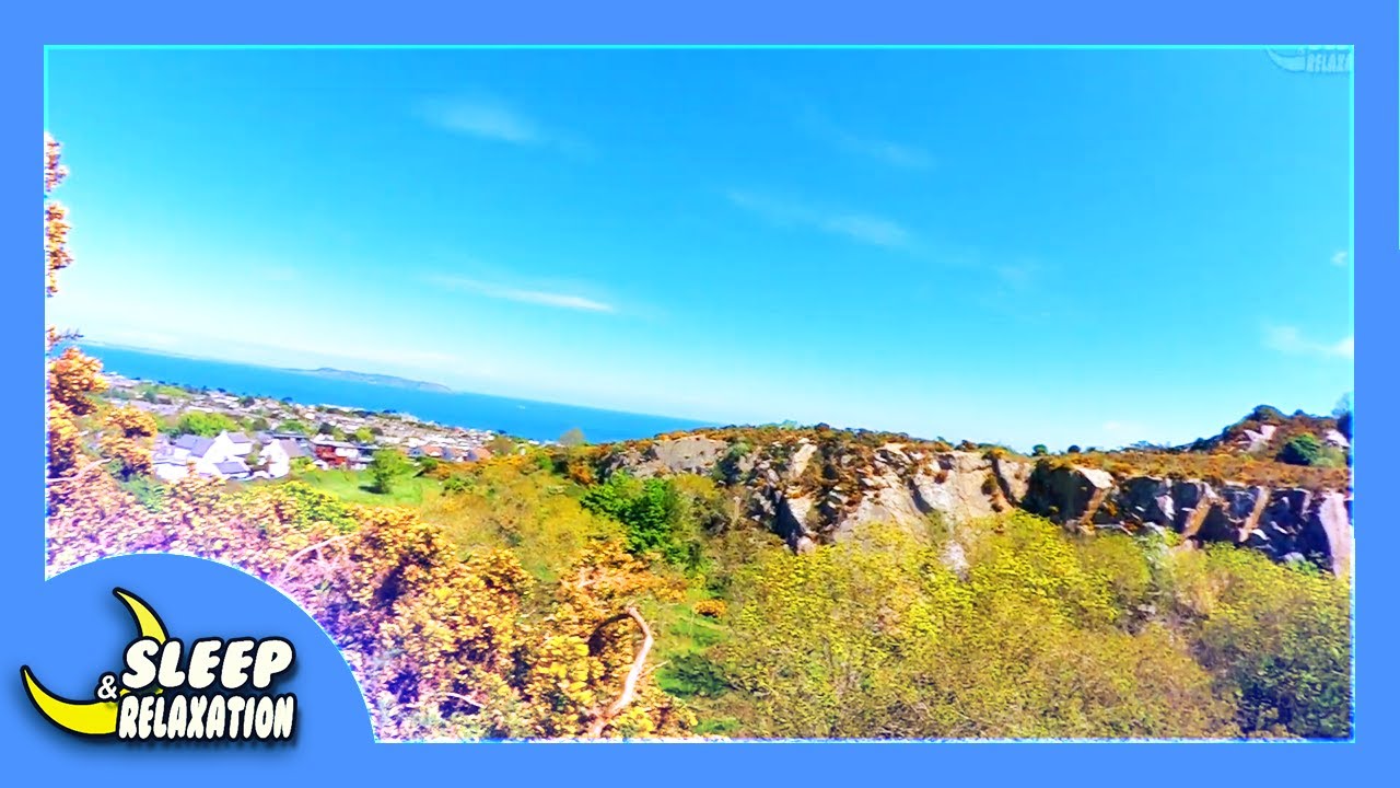 A walk to get back with nature (Nature Visualizer) - YouTube