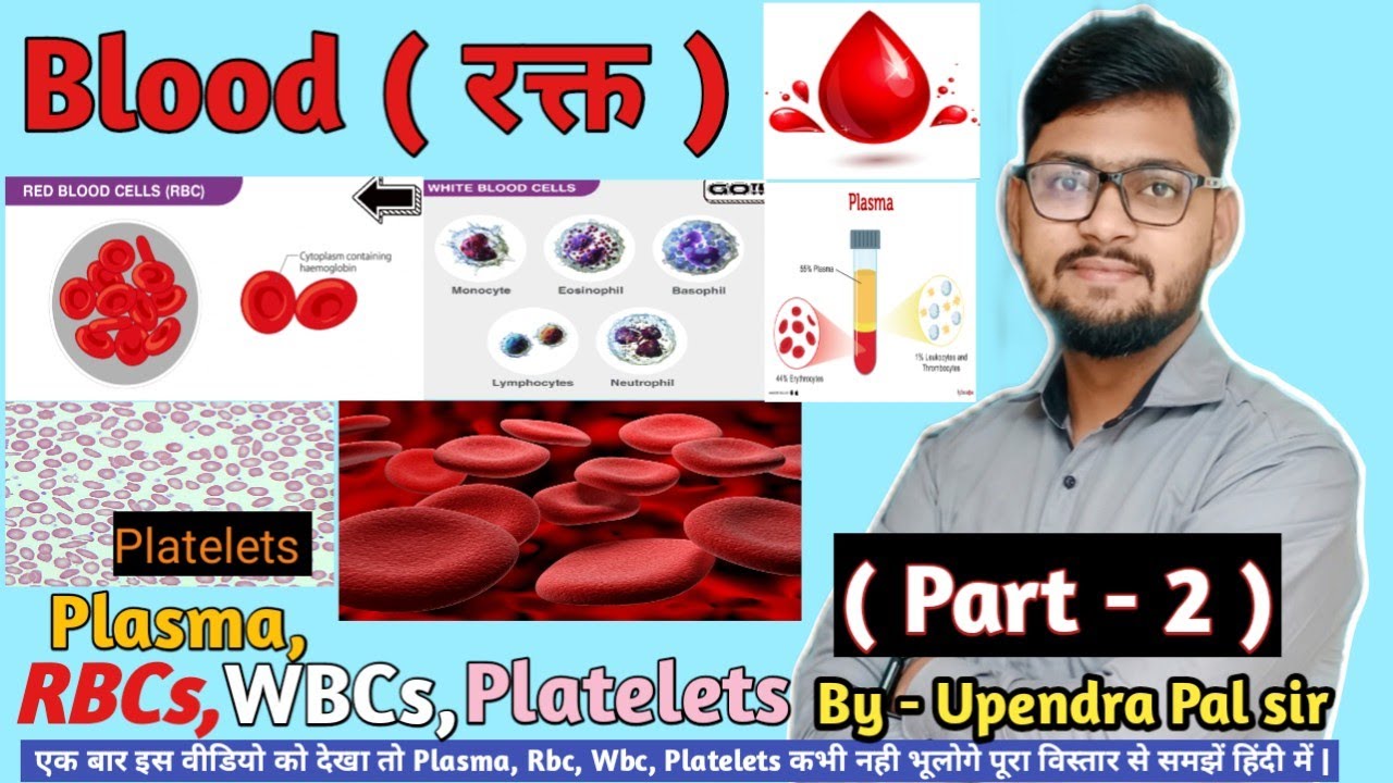 Human Blood | RBC | WBC | Platelets | Plasma in Hindi | By Upendra Pal ...
