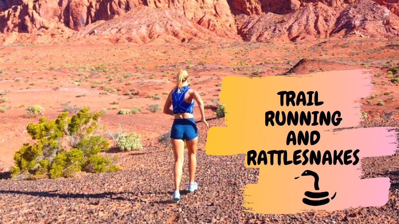 TRAIL RUNNING & SNAKES ENCOUNTERS/3of26 - YouTube
