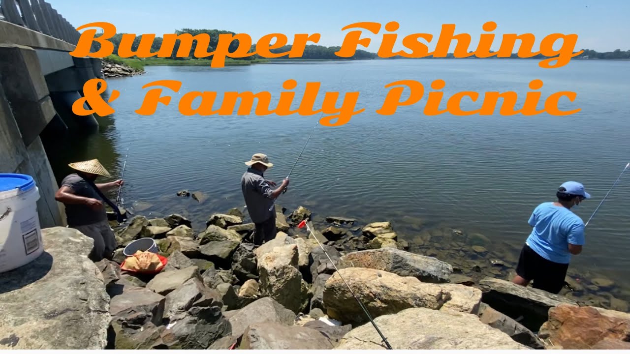 Bumper Fishing, you must watch lots of fun - YouTube