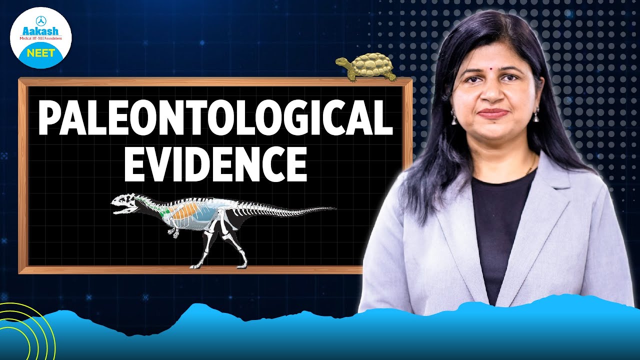 Palaeontological Evidence | Animal Evolution | Zoology NEET 2026 ...