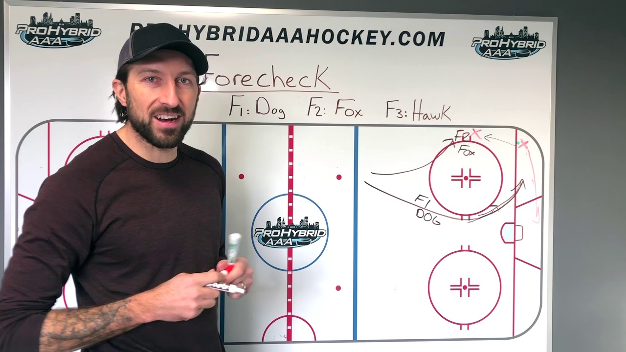Offensive Zone ForeCheck: Dog, Fox, Hawk - YouTube