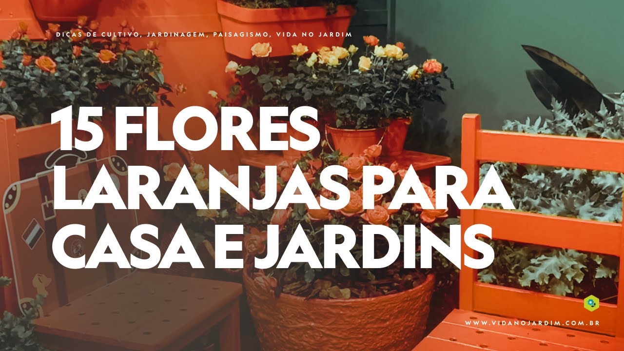 15 FLORES LARANJAS para CASA e JARDINS - YouTube
