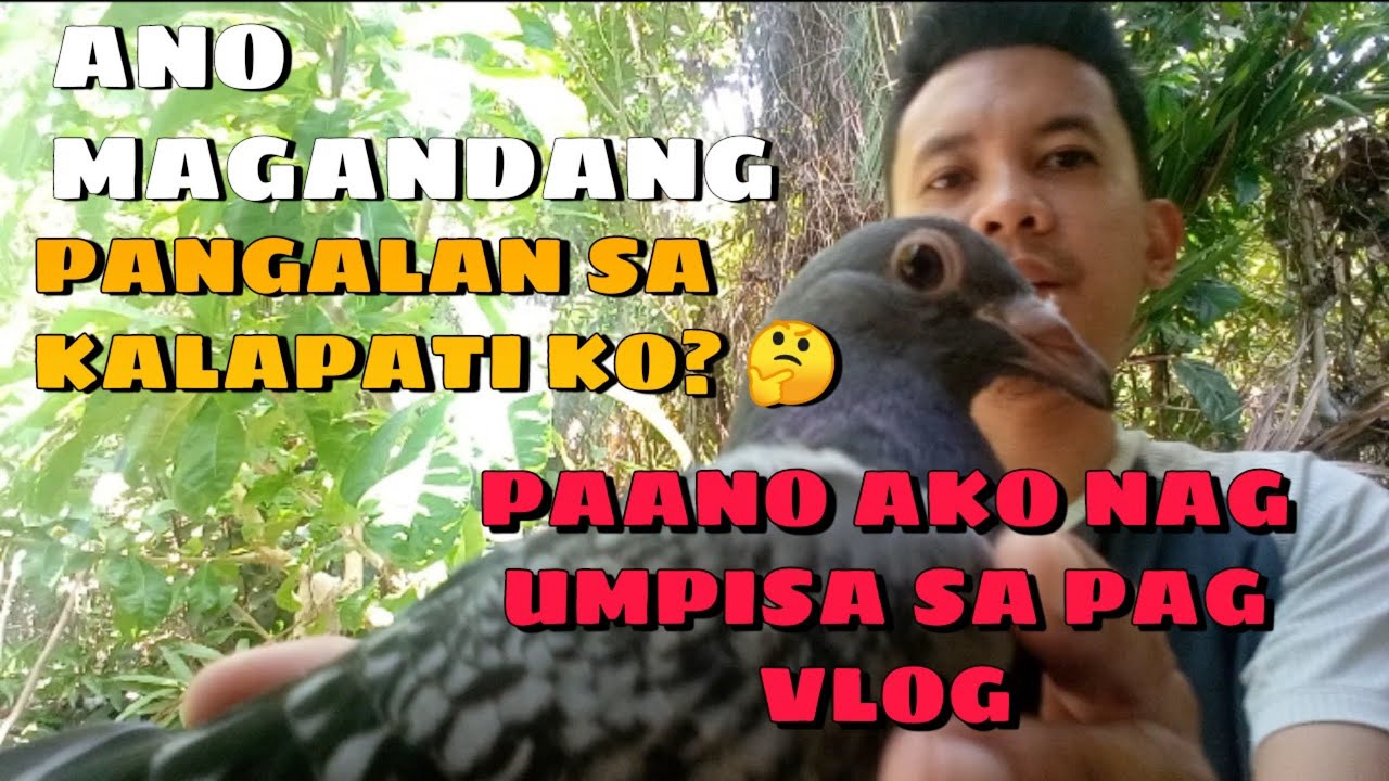 PAANO AKO NAG UMPISA SA PAG VLOG NG KALAPATI/ ANO MAGANDANG PANGALAN SA ...