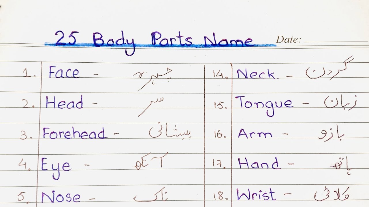 25 Body parts name in english | parts of body in english and Urdu ...