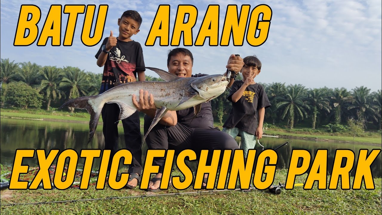 FAMiLY FISHING AT BATU ARANG EXOTIC FISHING PARK, contact wak Rabos(016 ...