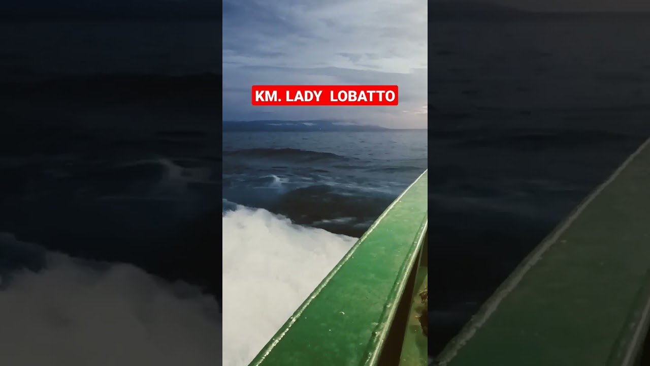 KM. Lady Lobatto#shorts - YouTube