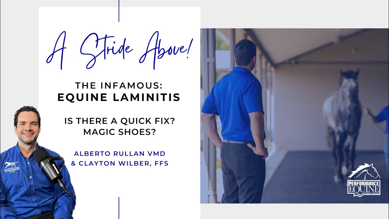 Laminitis with Farrier Clayton Wilber - YouTube