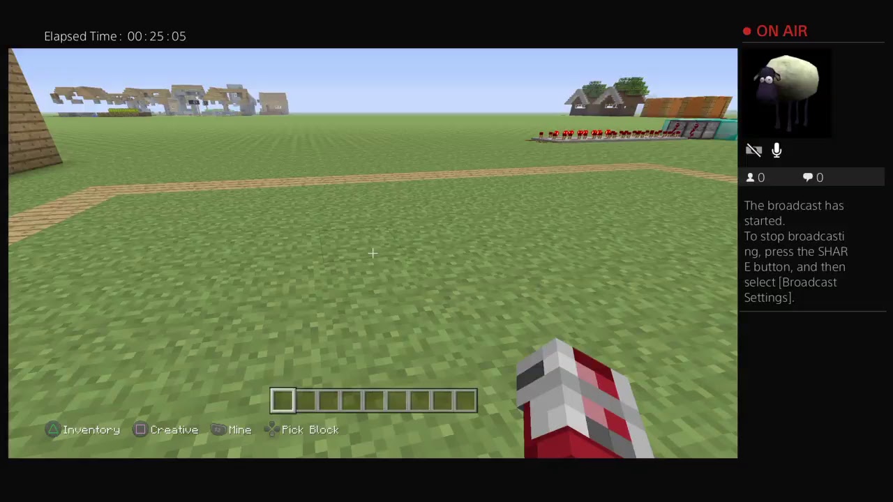 Random block challenge Minecraft - YouTube