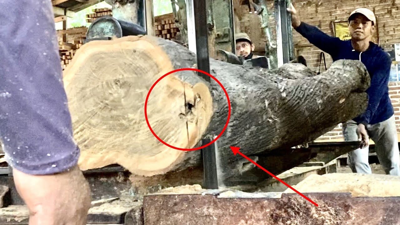 Urban sawing ! Free cutting teak Wood in sawmill because good boss haji ...