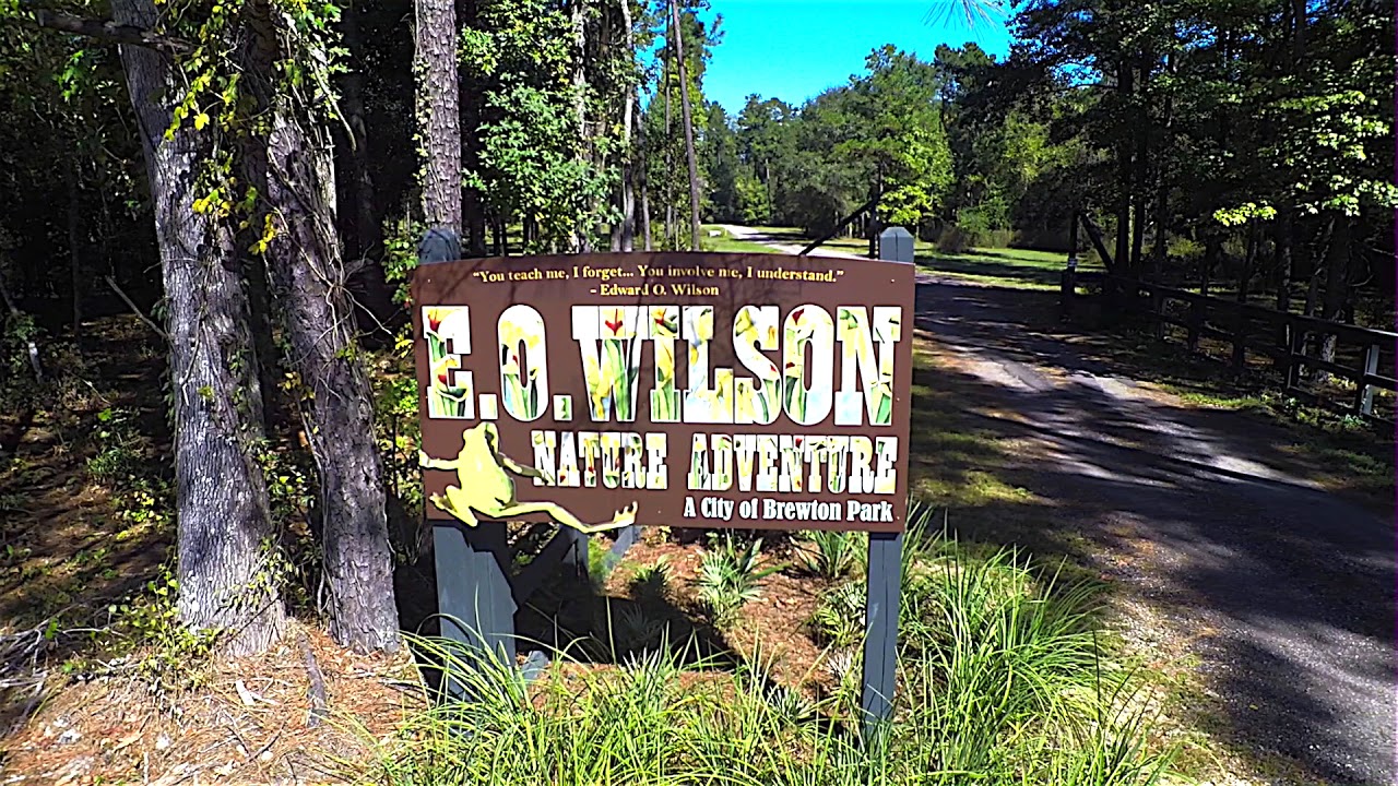 Brewton, Alabama(part 1) - YouTube