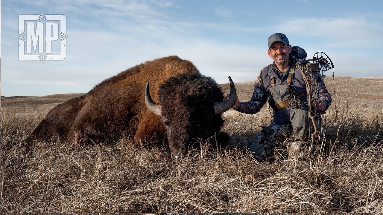 Spot-and-Stalk Bison in Nebraska | Mark V. Peterson Hunting - YouTube