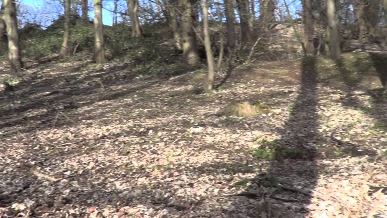 Aqualate Mere Geology - YouTube