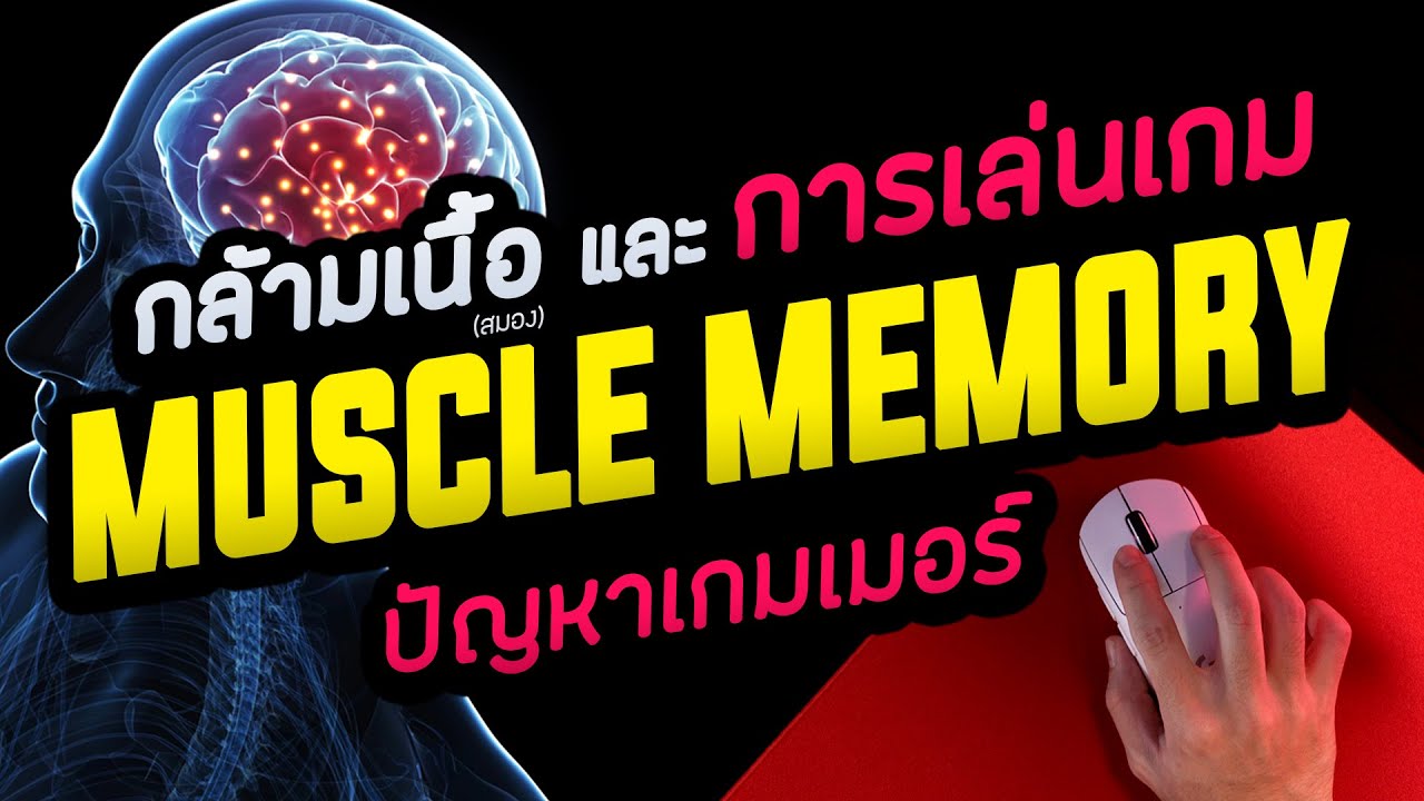 💪 Muscle Memory เข้าใจสมอง เพื่อการเล่นเกม 🎮 | NMZ | GAMERSAS EP.4 - YouTube