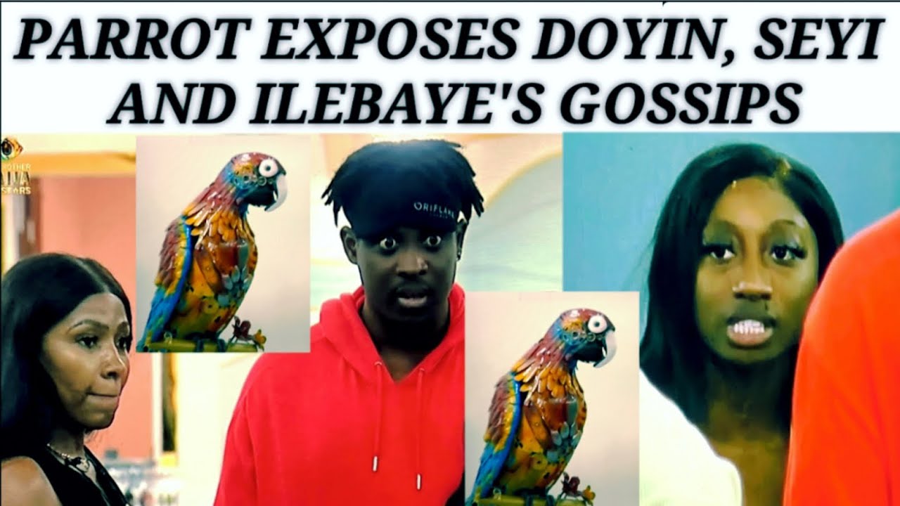PARROT EXPOSES SEYI'S INSULTS ON DOYIN'S PARENTS, DOYIN & ILEBAYE ...