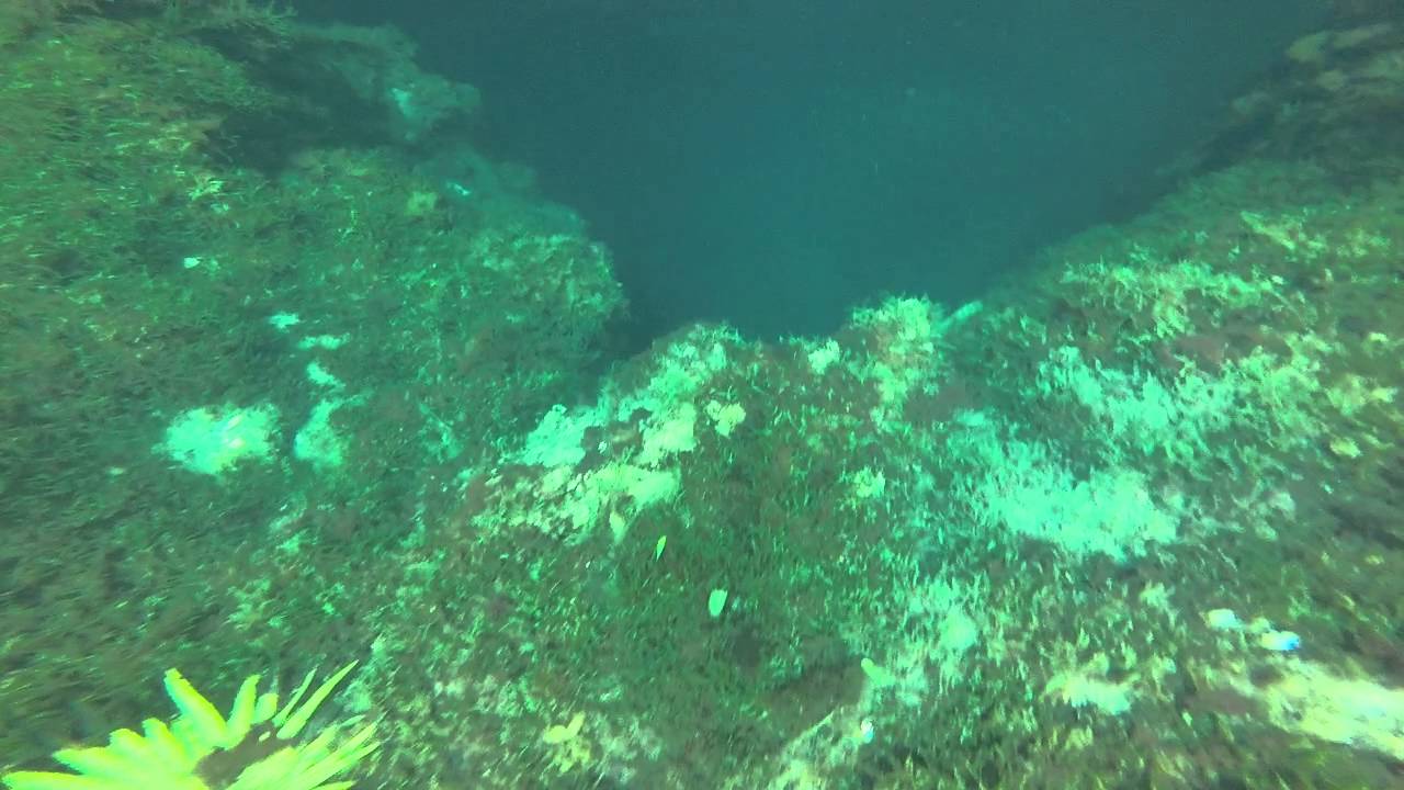 Playa Giron - Cenote Cueva de los Peces - julio 2015 - Cuba - YouTube